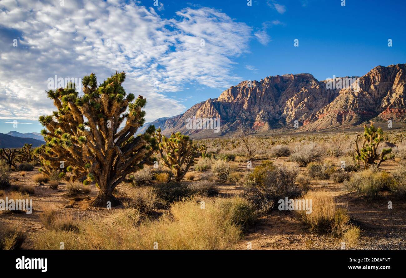 Spring Mountain Ranch State Park Stock Photo - Alamy