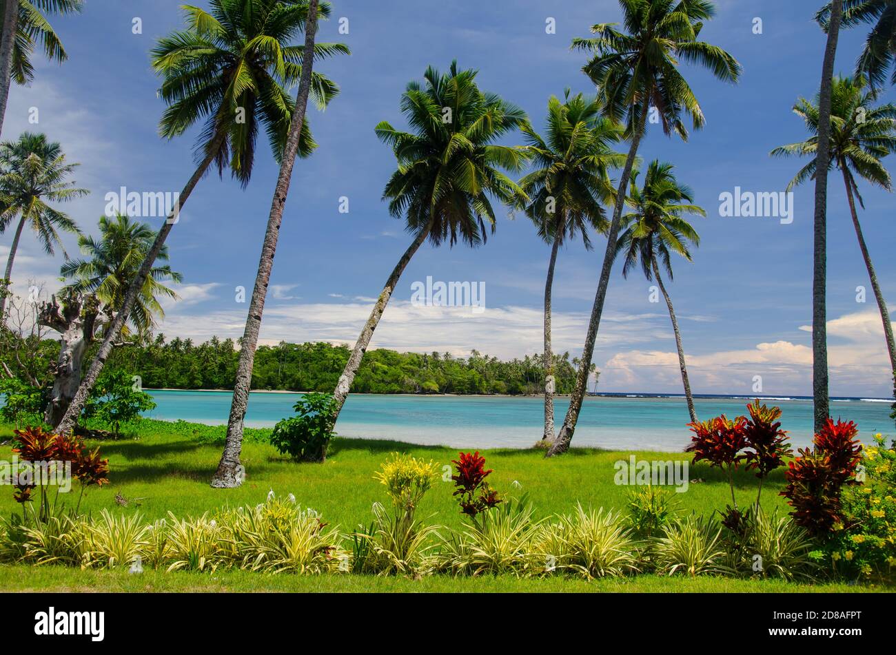 Breathtaking view of a beach in the Puapua, Savaii, Samoa Stock Photo ...