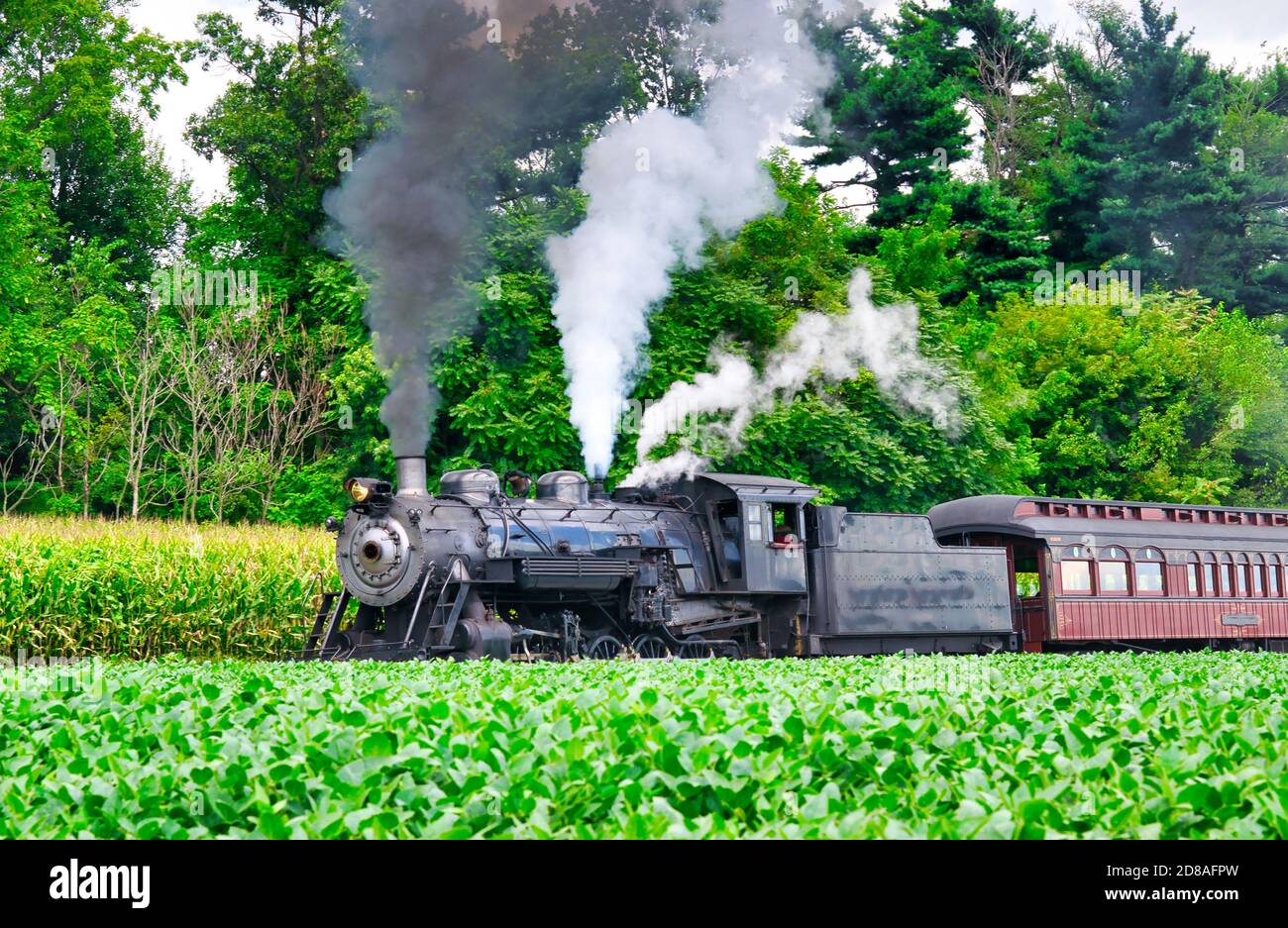 Close Up of an Antique Steam Passenger Train Puffing along Amish ...