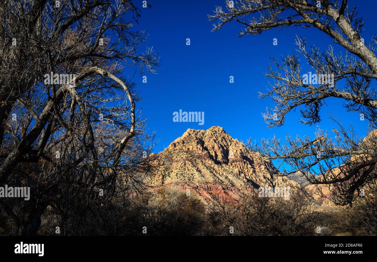 Spring Mountain Ranch State Park Stock Photo - Alamy