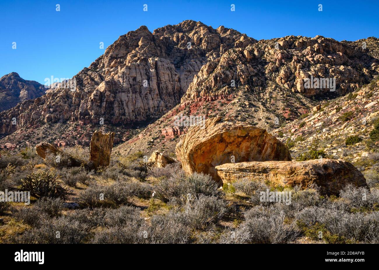 Red Rock Canyon National Conservation Area Stock Photo - Alamy