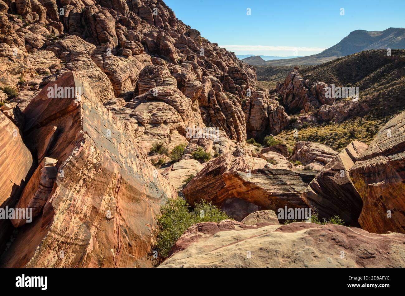 Red Rock Canyon National Conservation Area Stock Photo - Alamy
