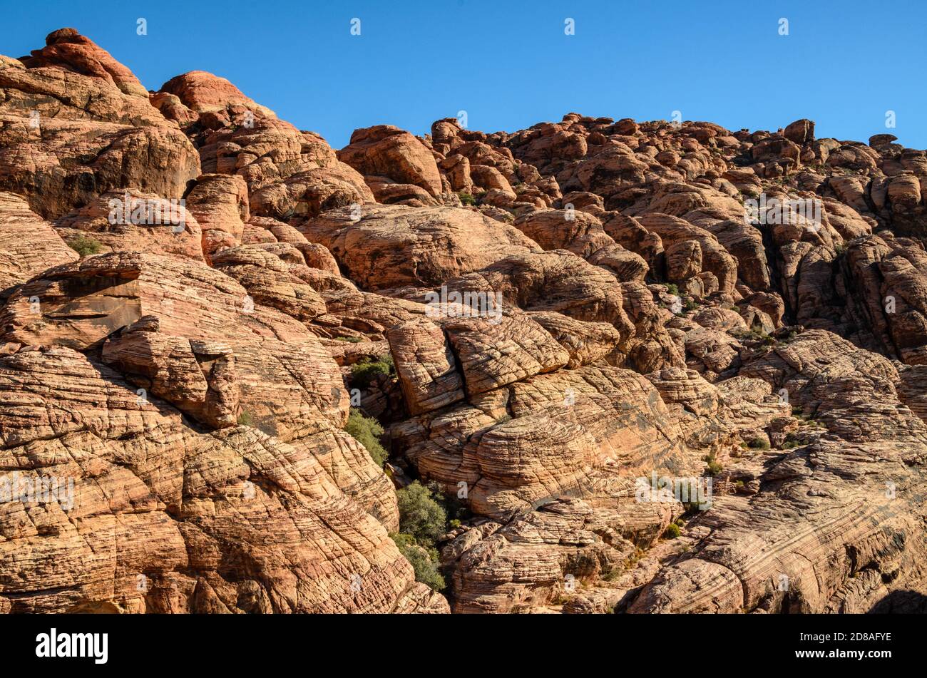 Red Rock Canyon National Conservation Area Stock Photo - Alamy
