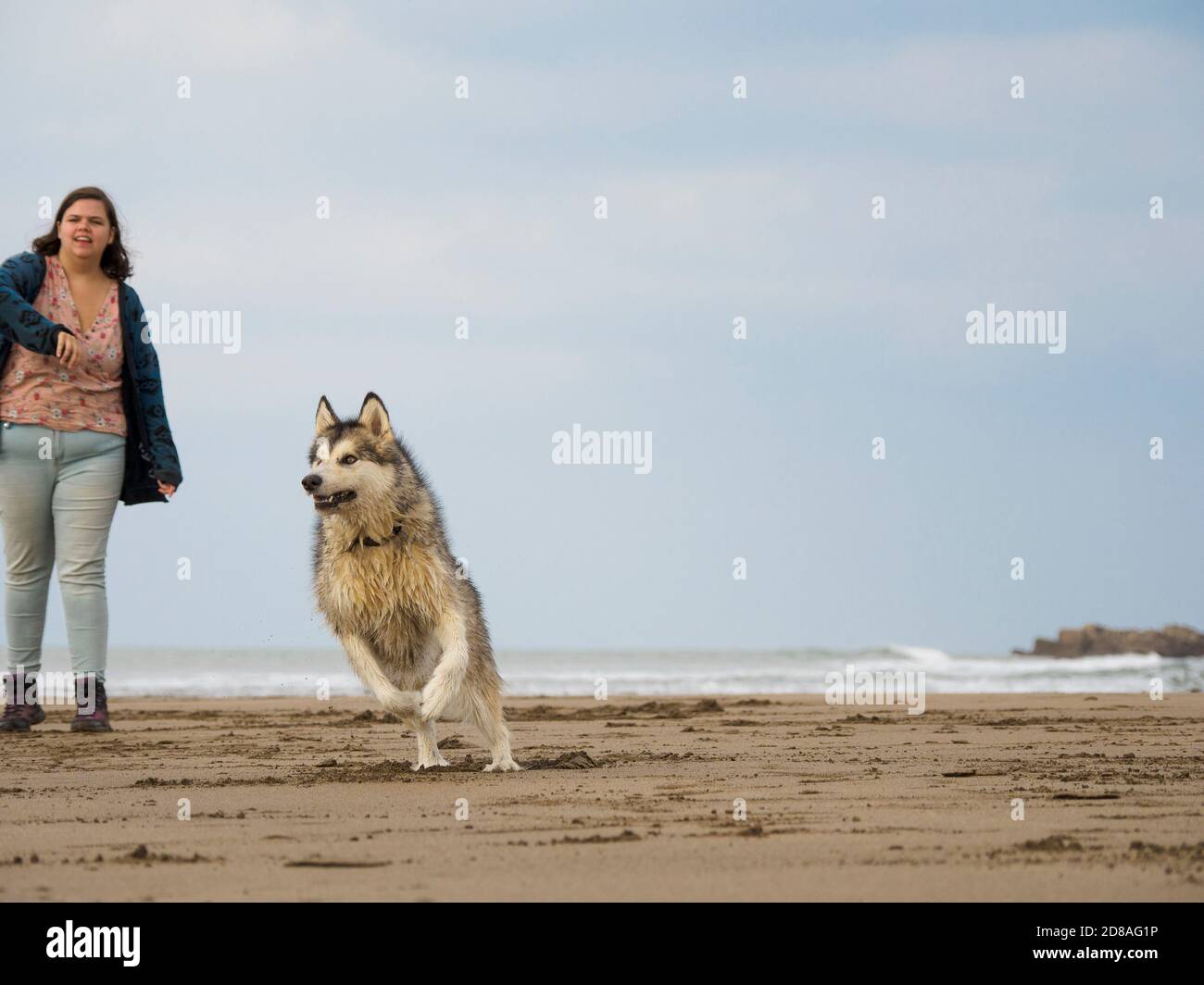 Woman play alaskan malamute dog hi-res stock photography and images - Alamy