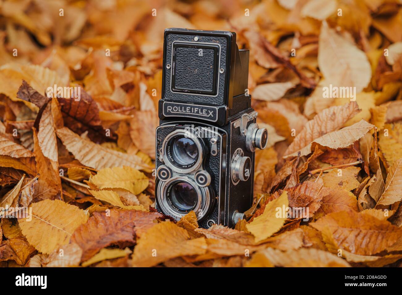 The beautiful vintage medium format twin lens camera Rolleiflex Stock ...