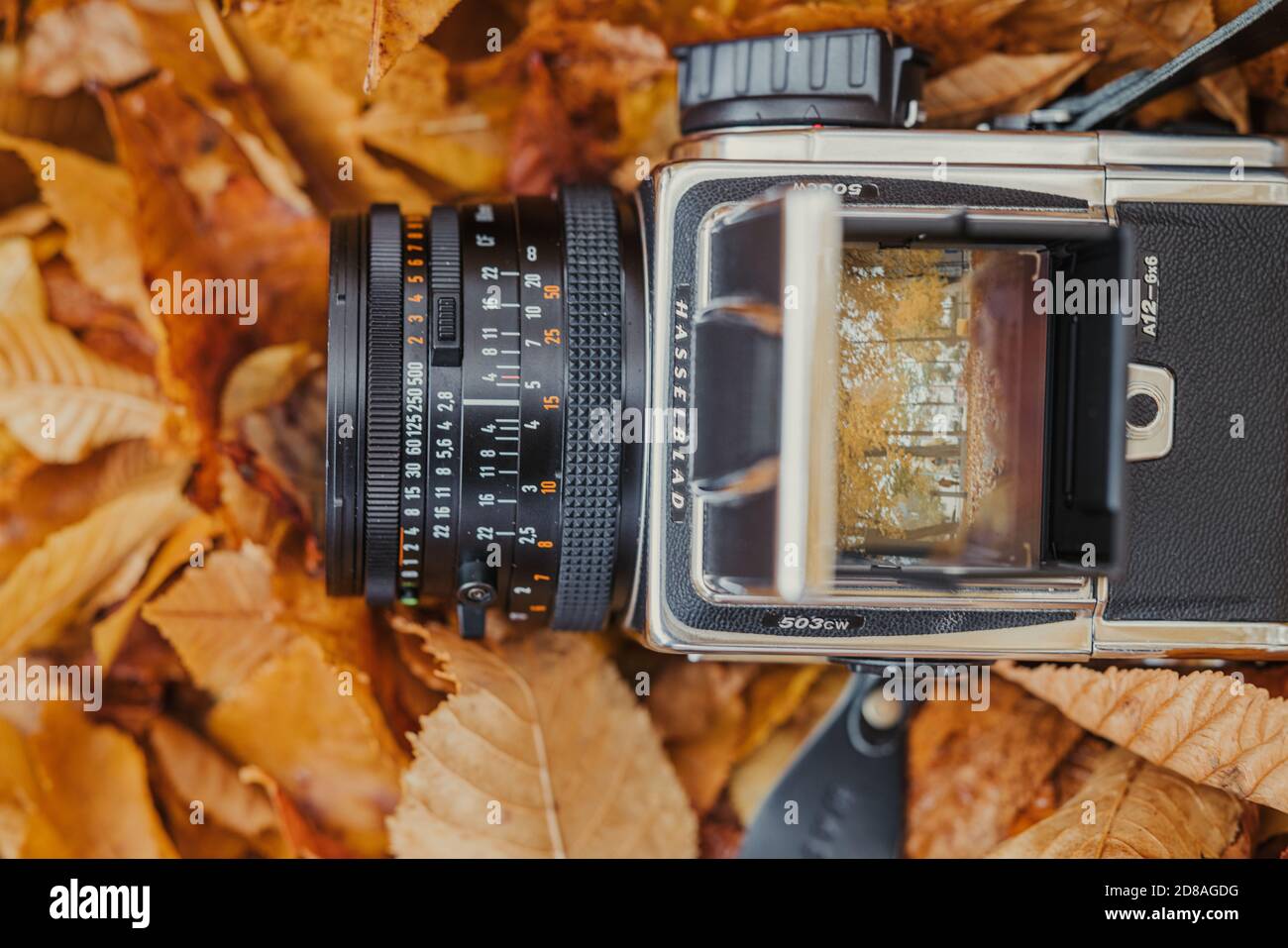 The beautiful vintage medium format film camera Hasselblad 5003CW Stock ...