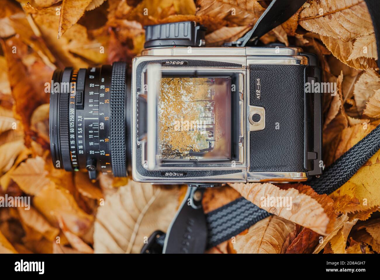 The beautiful vintage medium format film camera Hasselblad 5003CW Stock ...