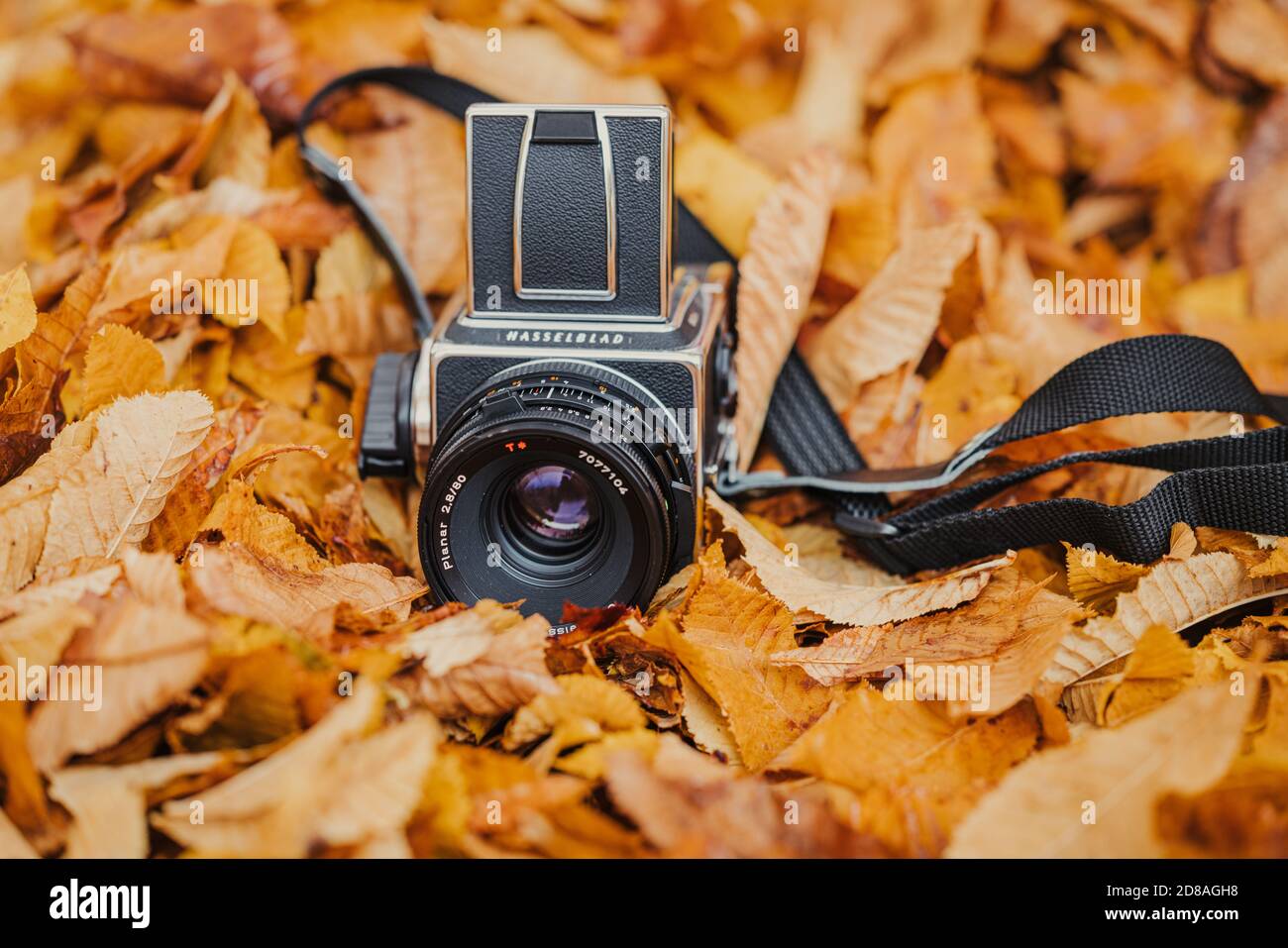 The beautiful vintage medium format film camera Hasselblad 5003CW Stock ...