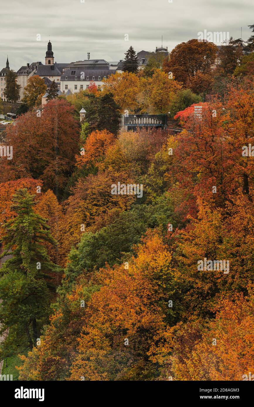 The beautiful Pfaffenthal district in Luxembourg in Autumn season Stock ...