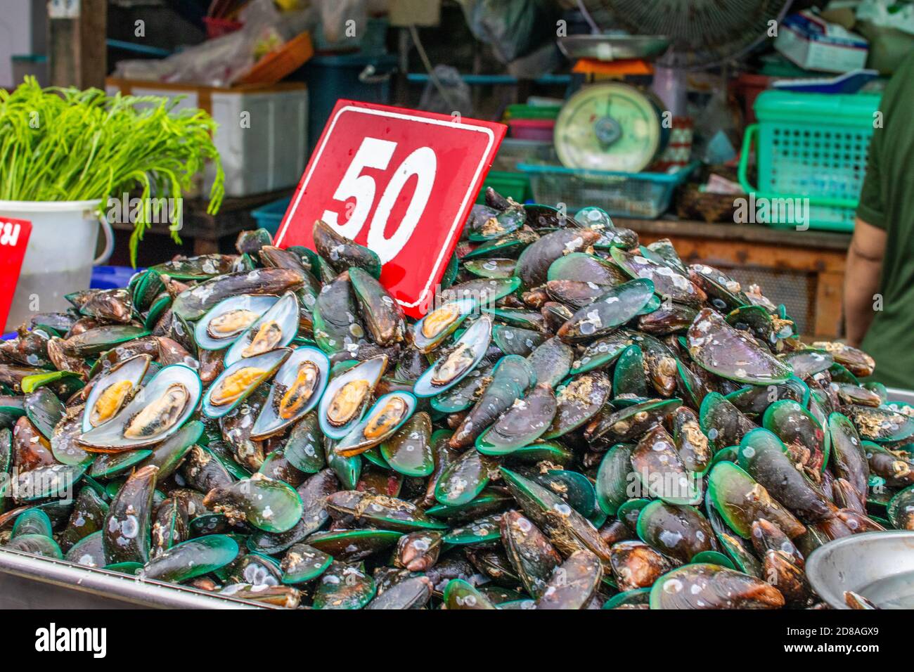 seafood market Naklua near Pattaya Stock Photo - Alamy