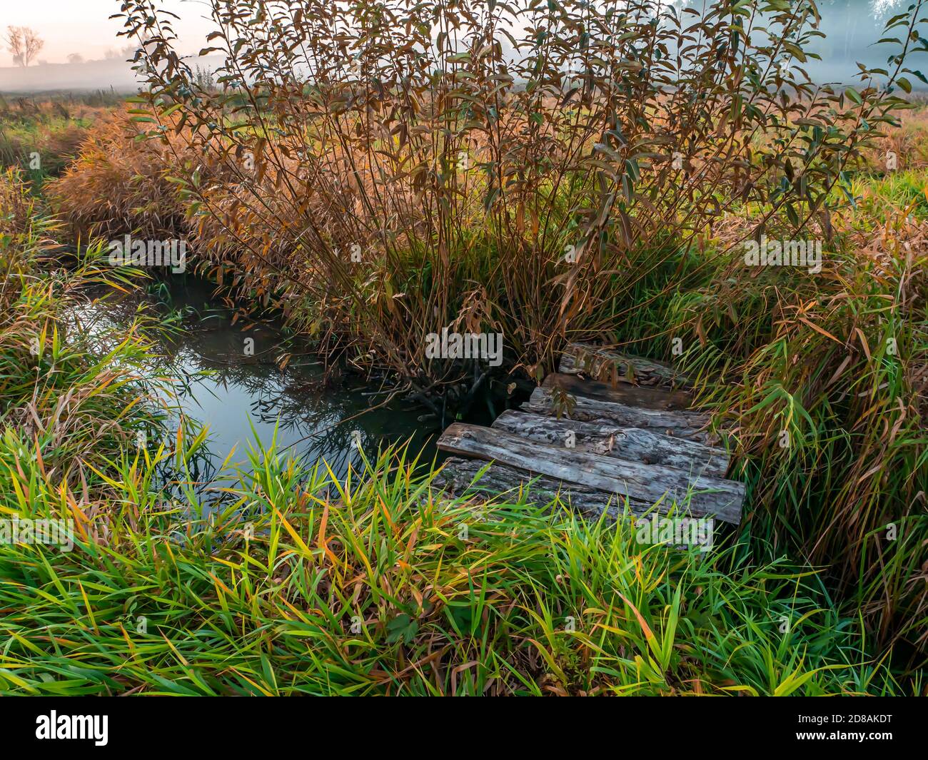 Wooden bridge over a narrow small river Stock Photo - Alamy