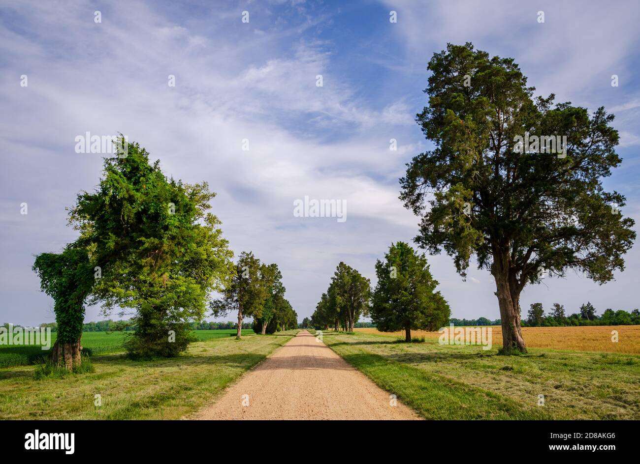 Westover plantation virginia hi-res stock photography and images - Alamy