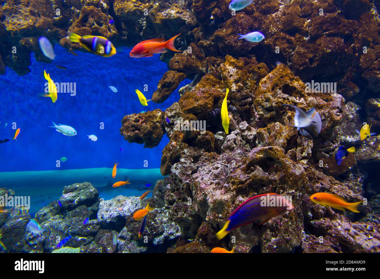 Den Ba Planet Acuarium, Copenhagen, Denmark, Europe Stock Photo - Alamy