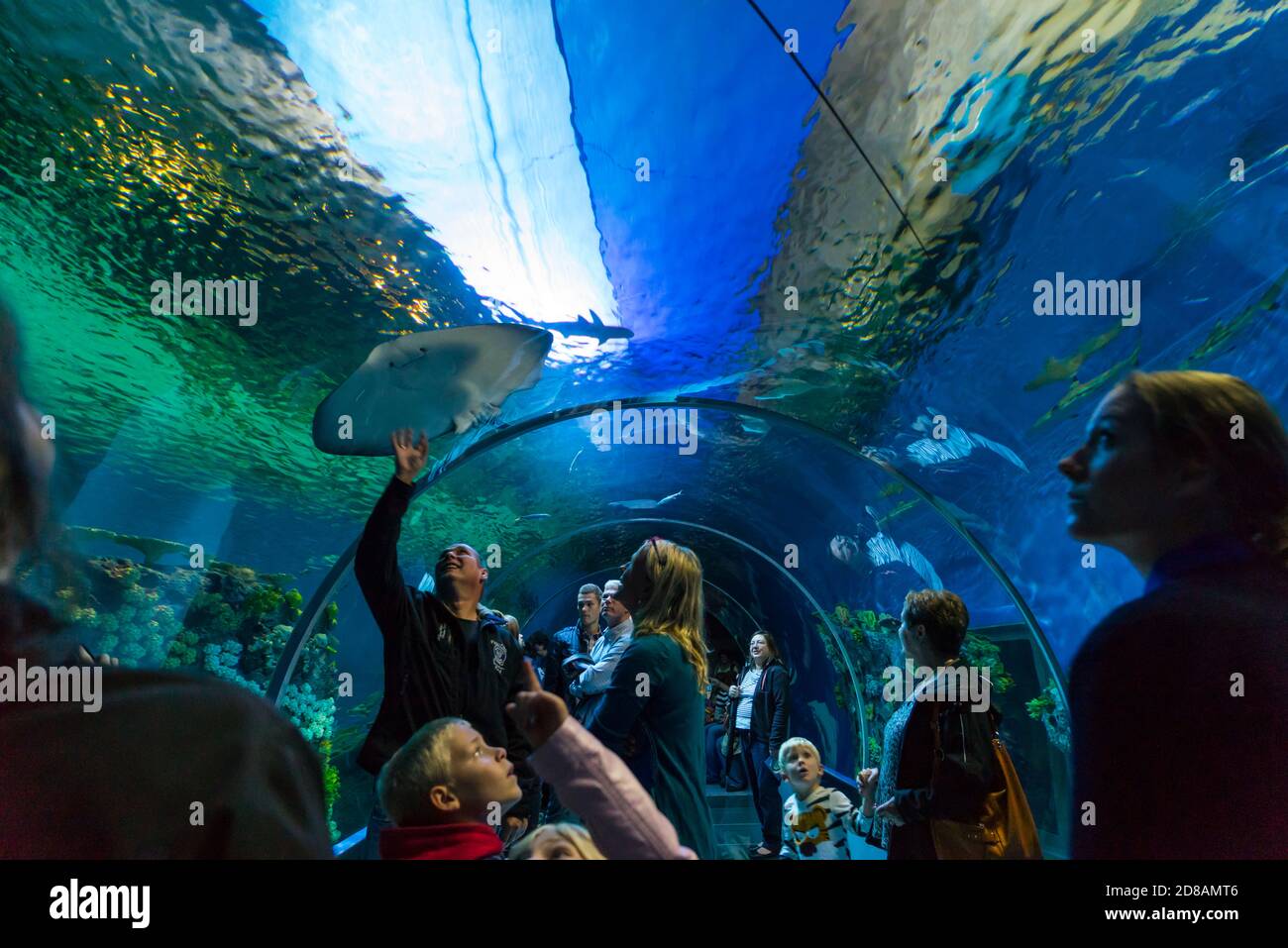 Den Ba Planet Acuarium, Copenhagen, Denmark, Europe Stock Photo - Alamy