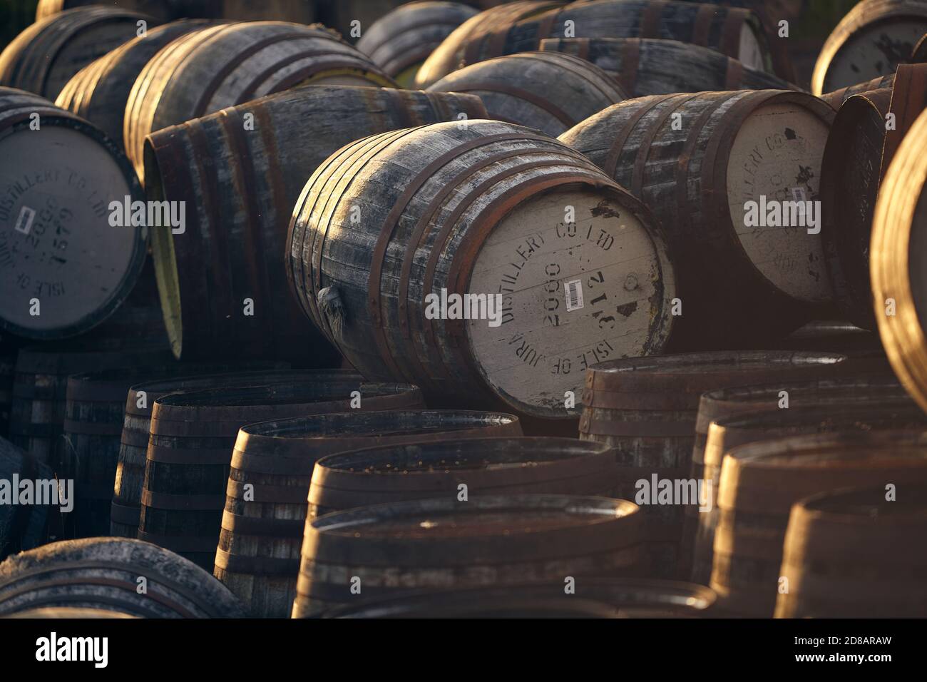 Scotch Whisky barrels in the evening light Stock Photo - Alamy