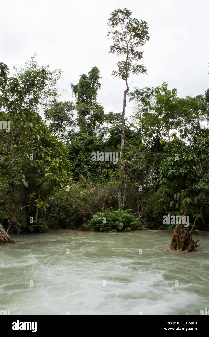Vertical laos kuang si waterfall hi-res stock photography and images ...