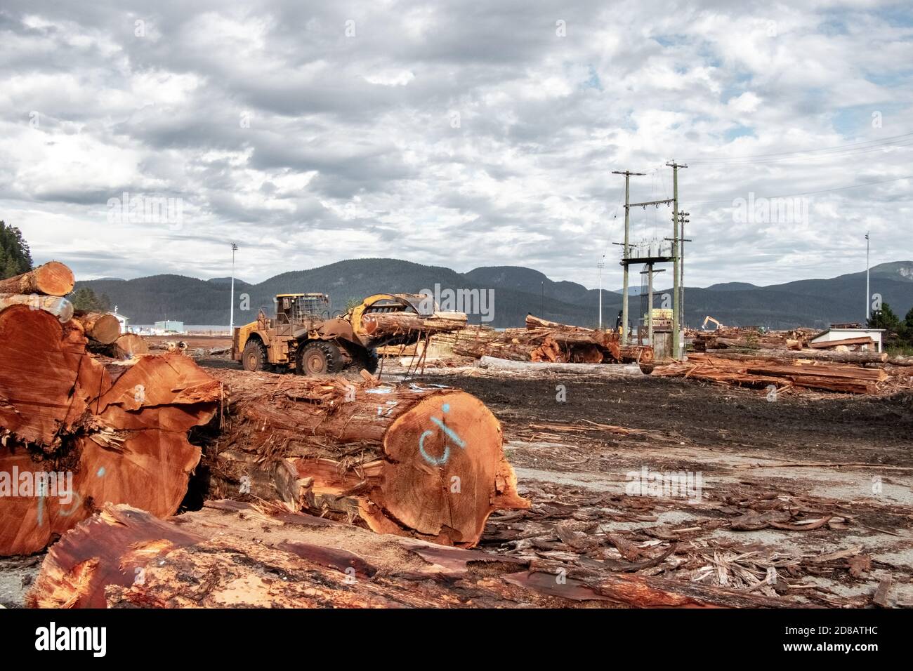 The log loader moves logs at Dryland Log Sort in the village of Sayward ...