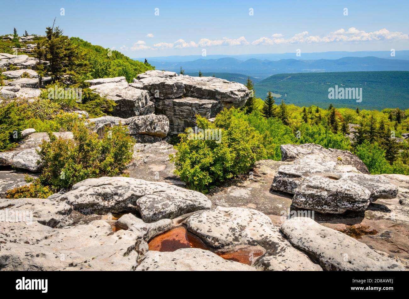 Bear Rocks Preserve Stock Photo - Alamy