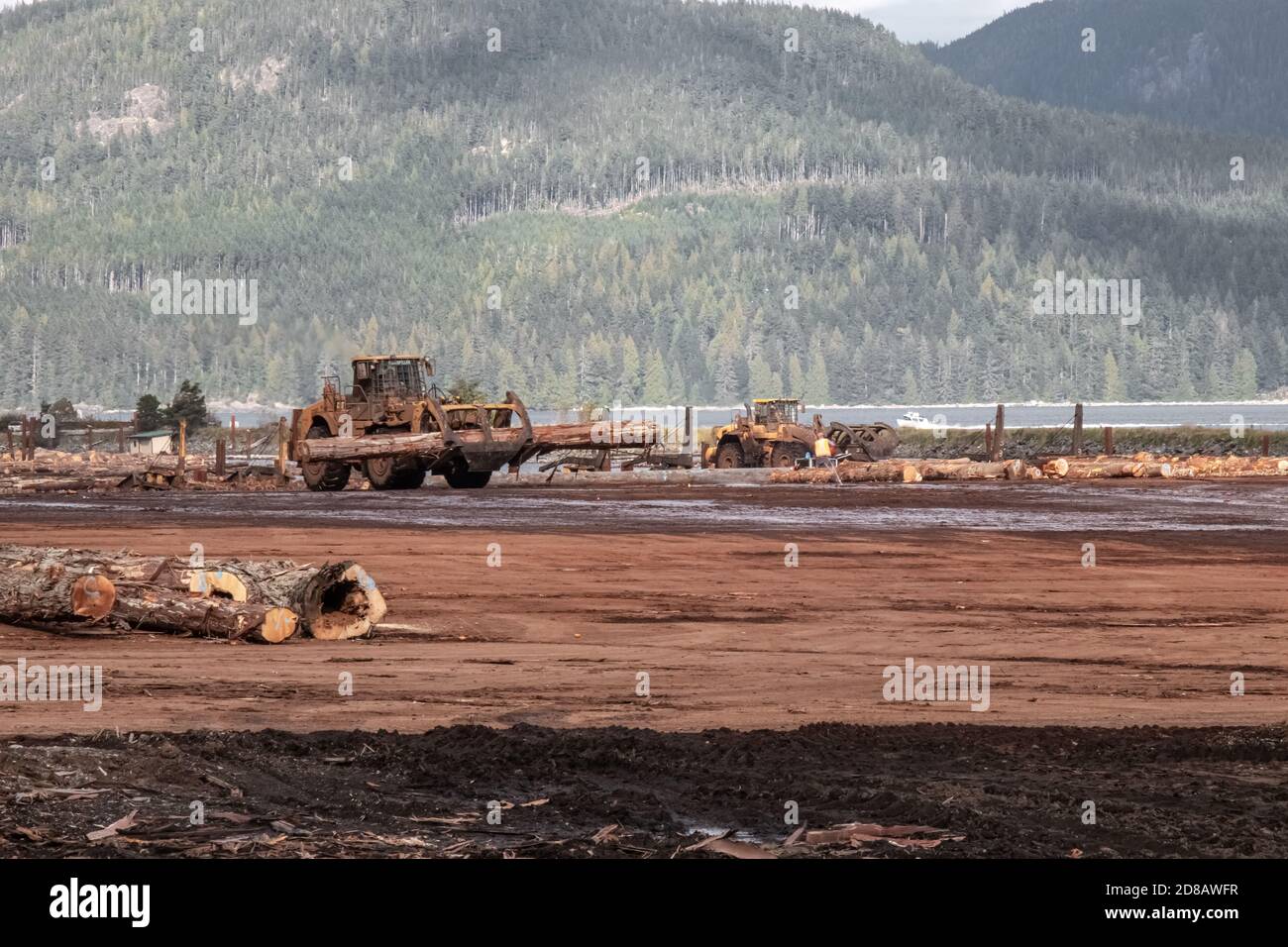 Log loader hi-res stock photography and images - Alamy