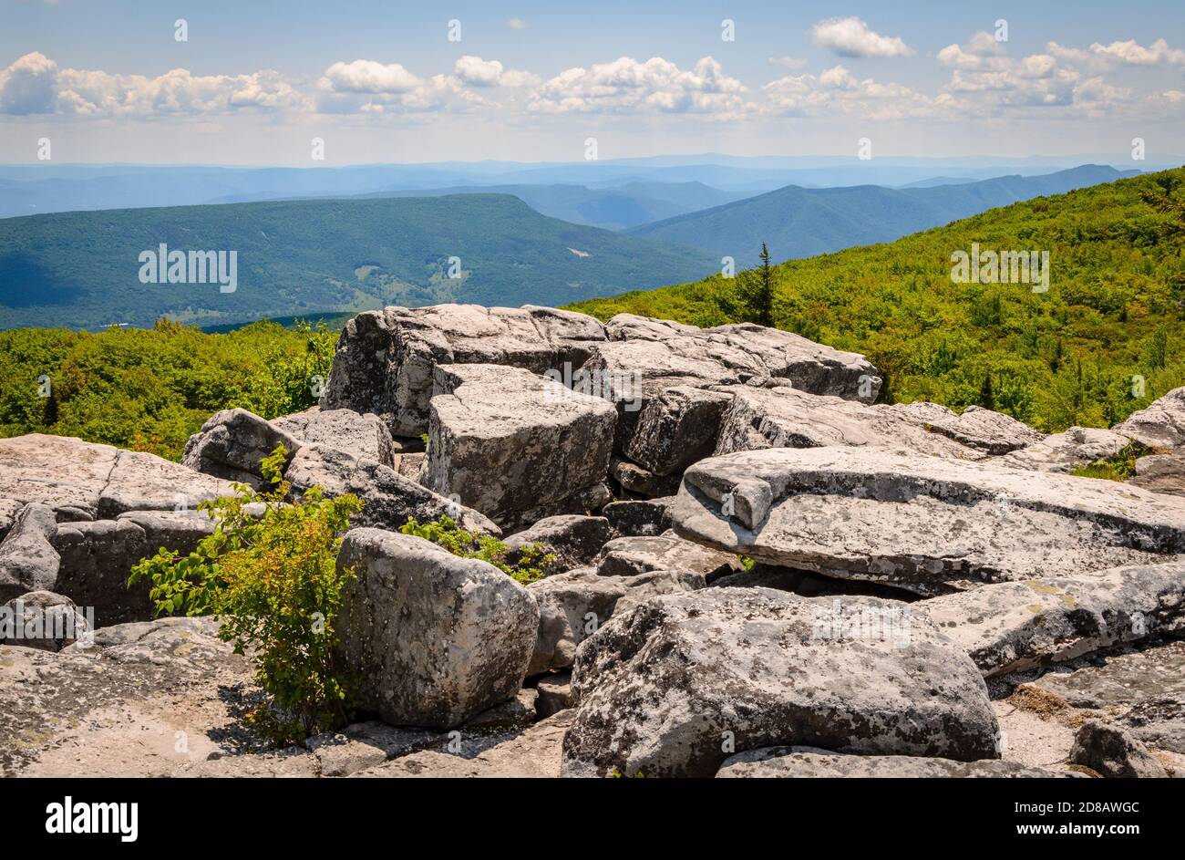 Bear Rocks Preserve Stock Photo - Alamy