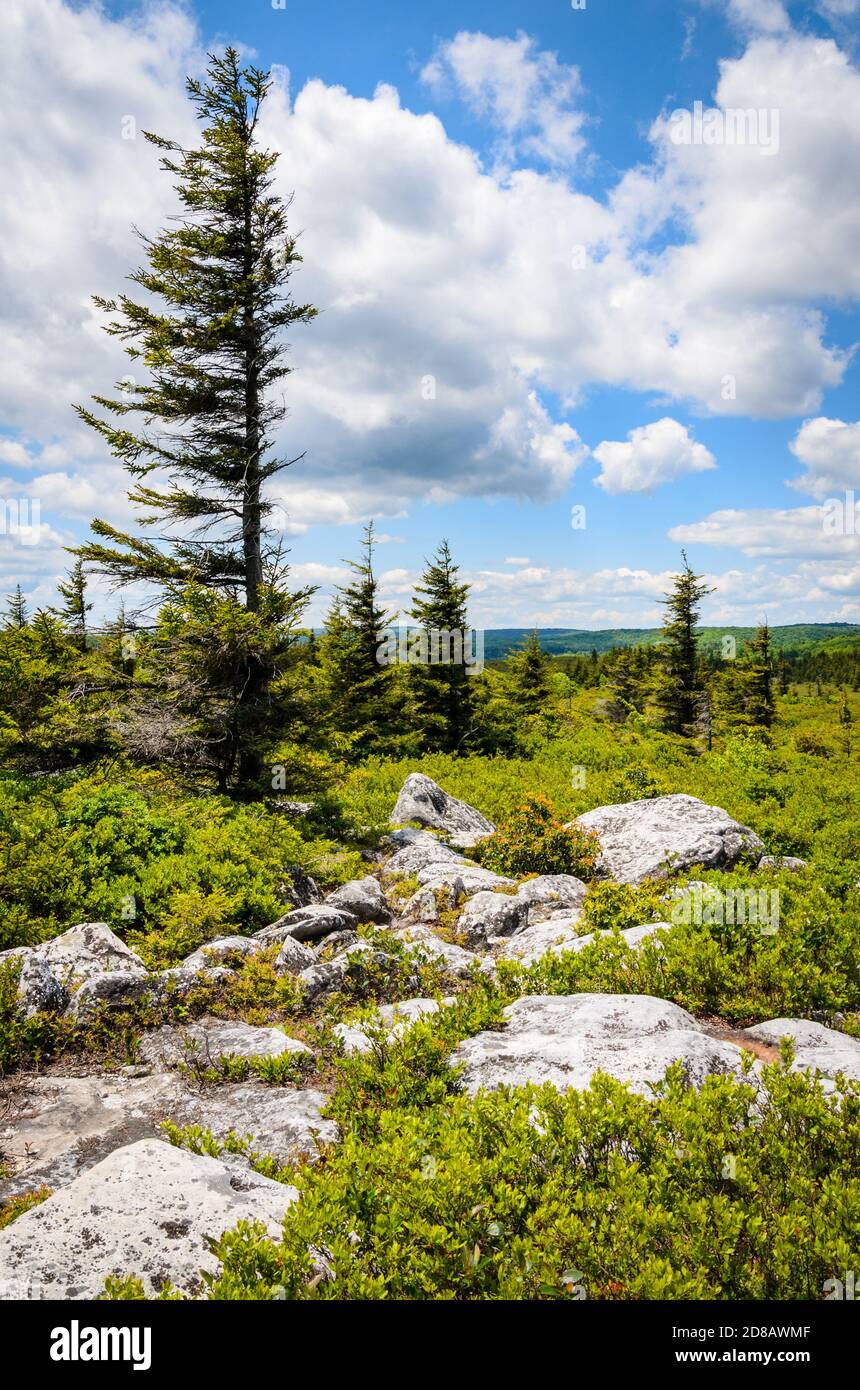 Bear Rocks Preserve Stock Photo - Alamy