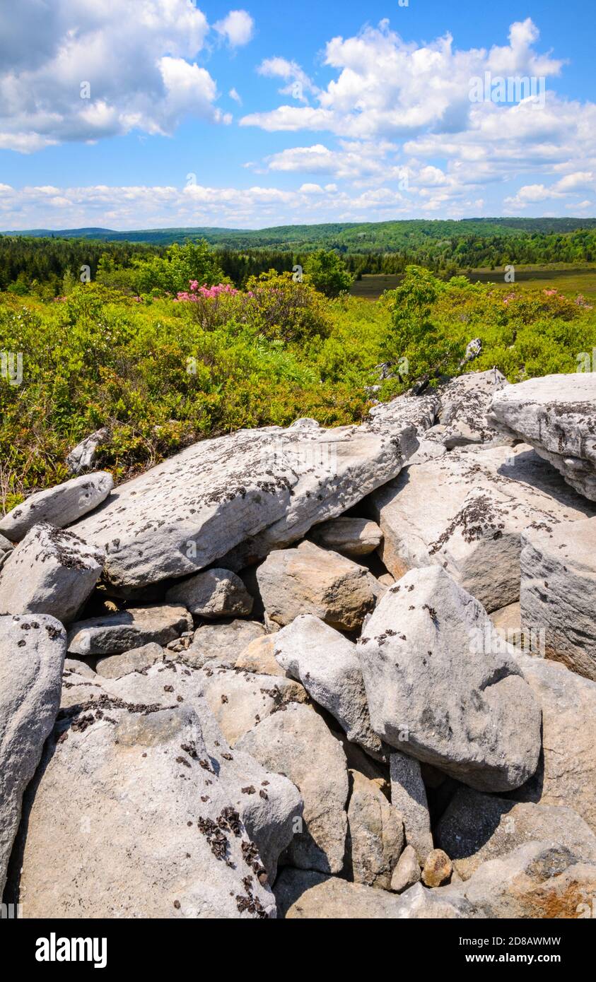 Bear Rocks Preserve Stock Photo - Alamy