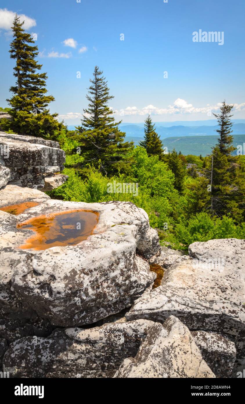 High allegheny national park and preserve hi-res stock photography and ...