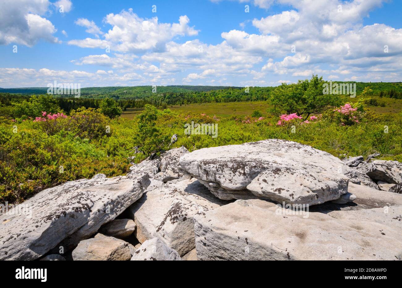 Bear Rocks Preserve Stock Photo - Alamy