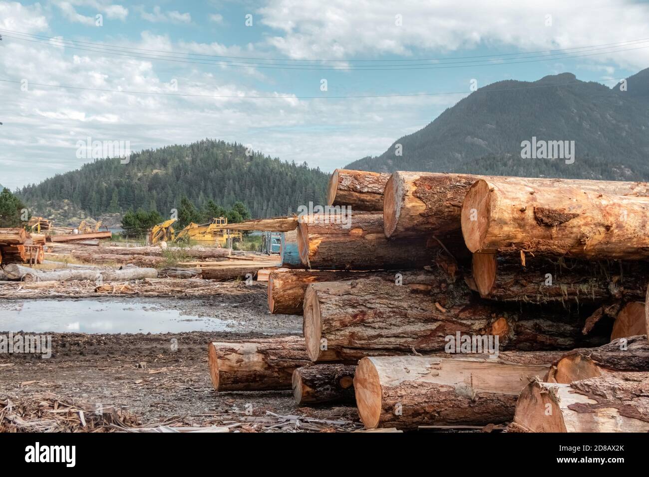 Lifting Logs By Hand