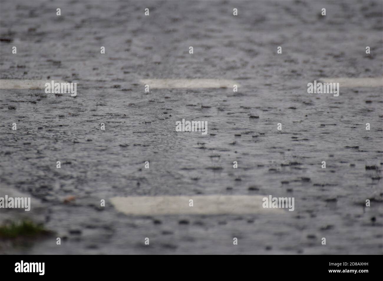 Rain on dark grey a asphalt road with white road marking Stock Photo ...