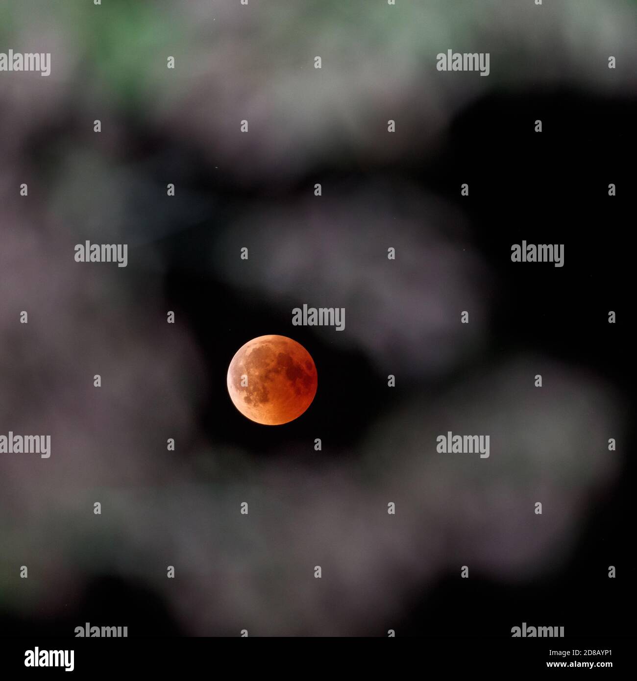 Breathtaking view of the full golden moon and the dark sky Stock Photo ...