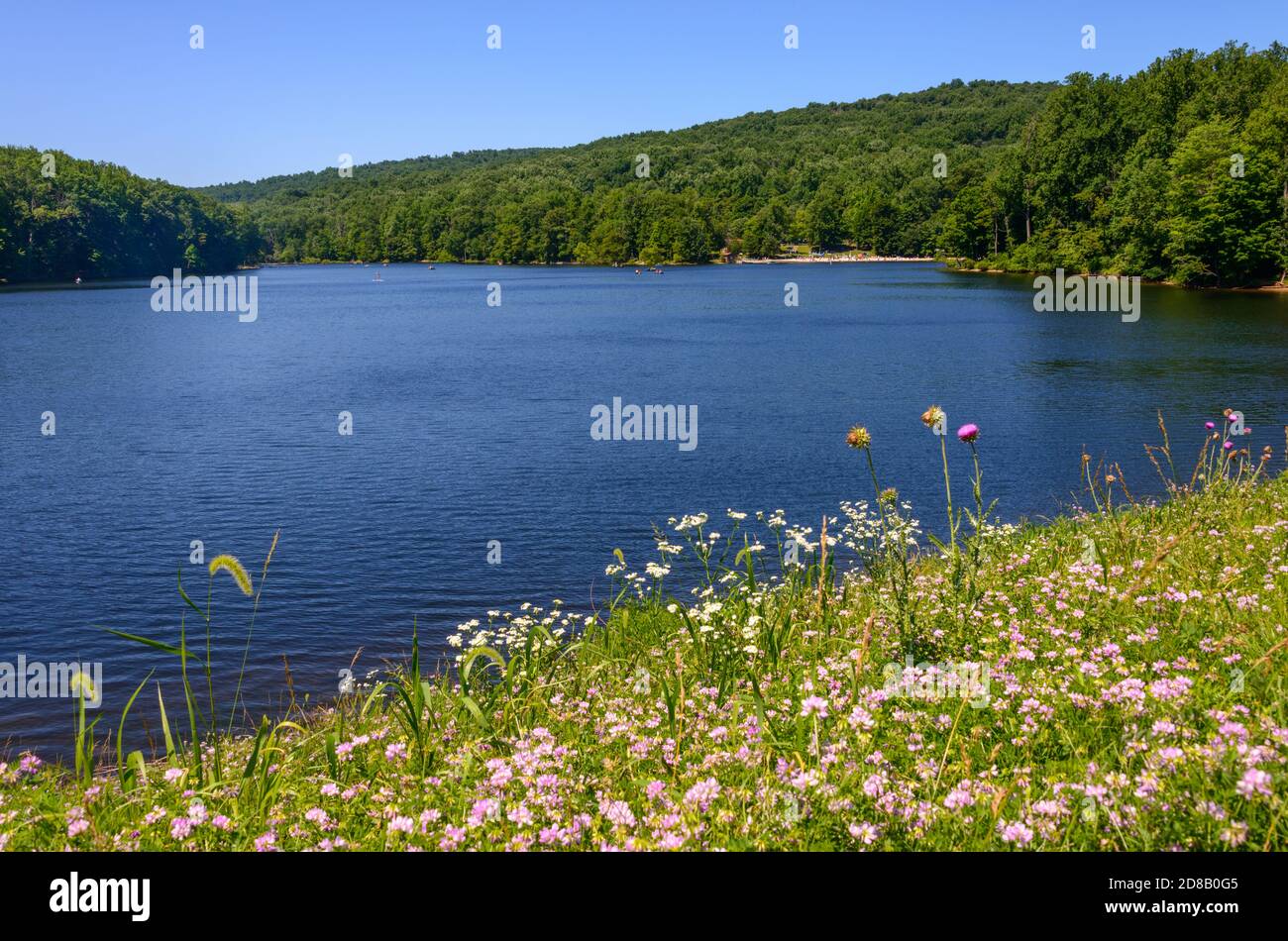 Cunningham Falls State Park Stock Photo - Alamy