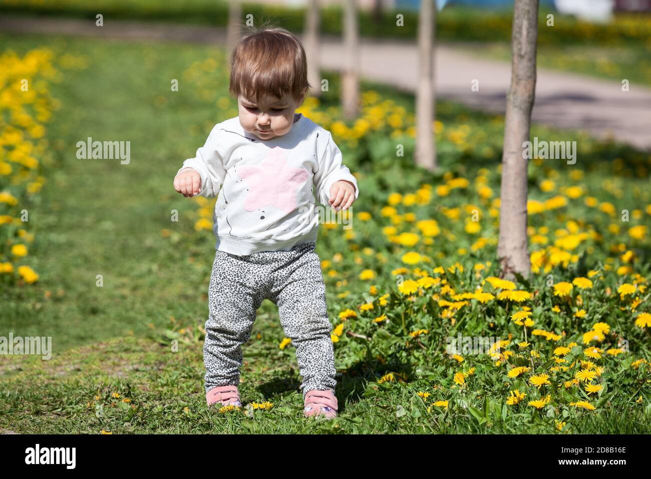 Toddler girl walks on green pathway between yellow flowers, balancing ...