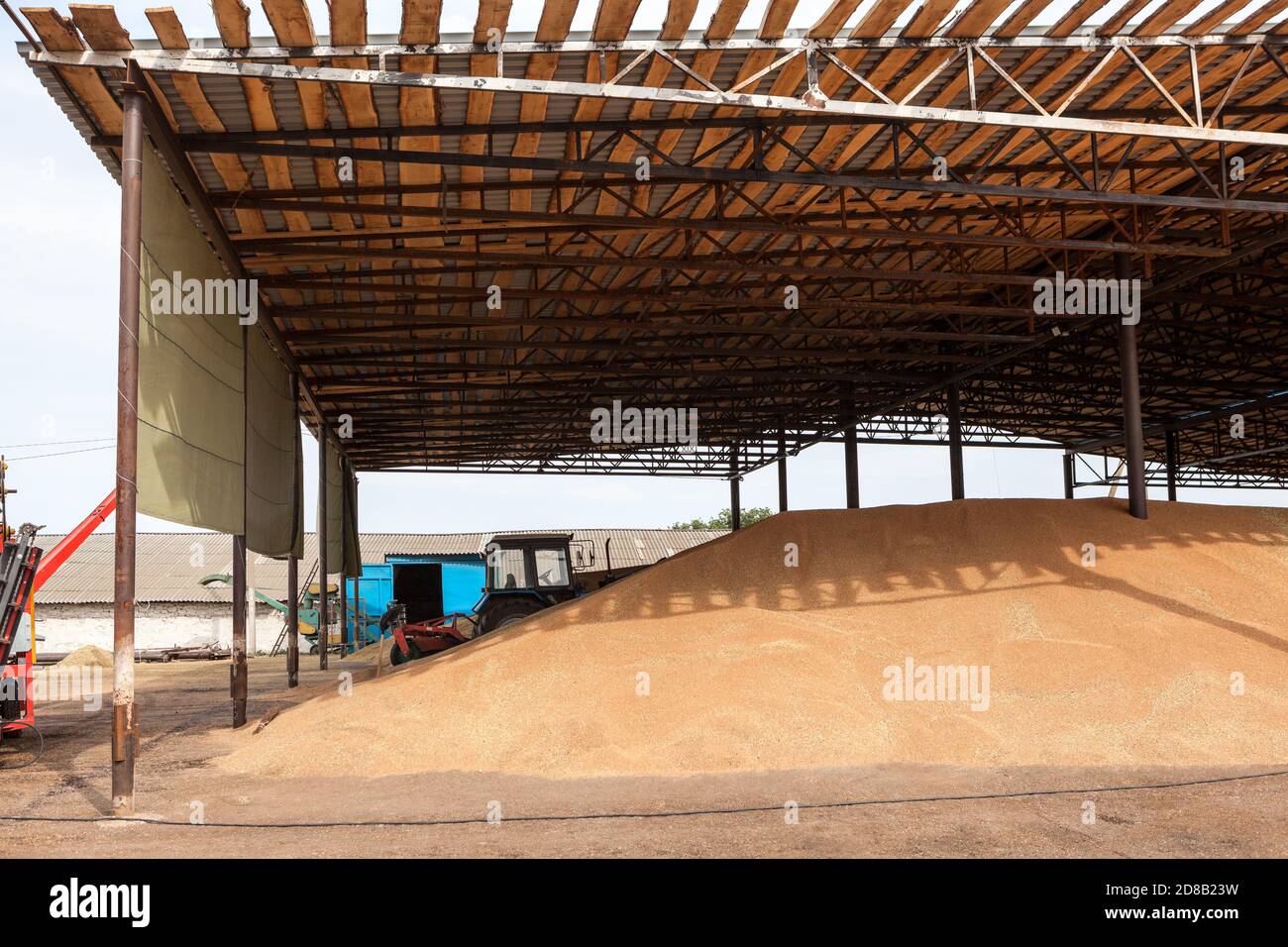 Shelter for storage of grain products. Large heaps of grain are built ...