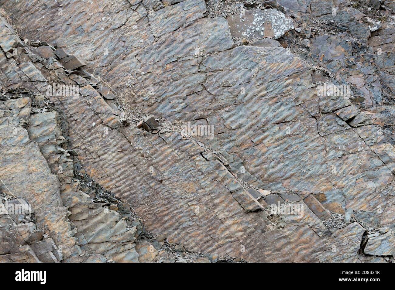Fossilized ripple marks in a cliff. There are several layers Stock ...