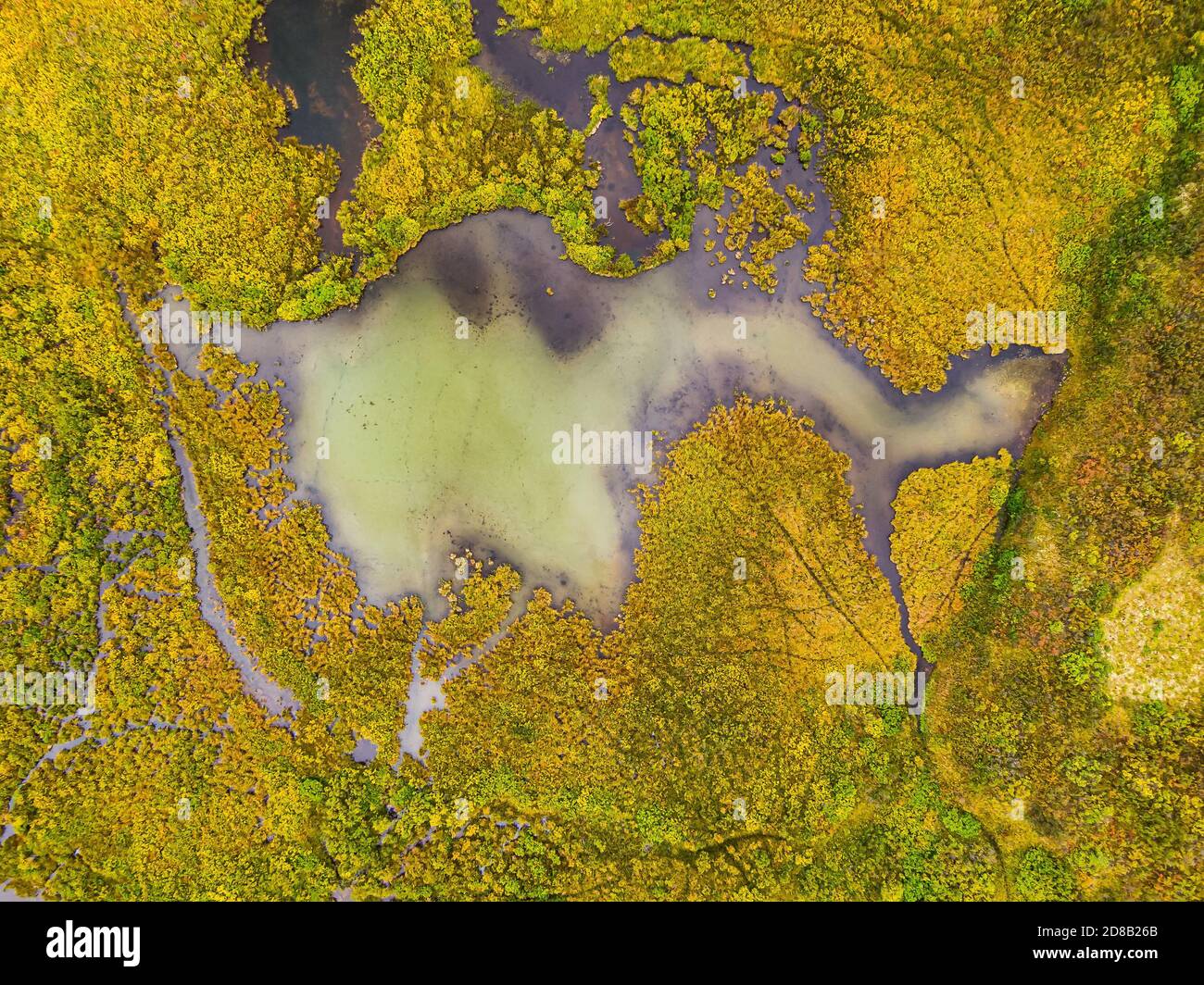 Aerial view of colorful pond in the marshlands Stock Photo - Alamy