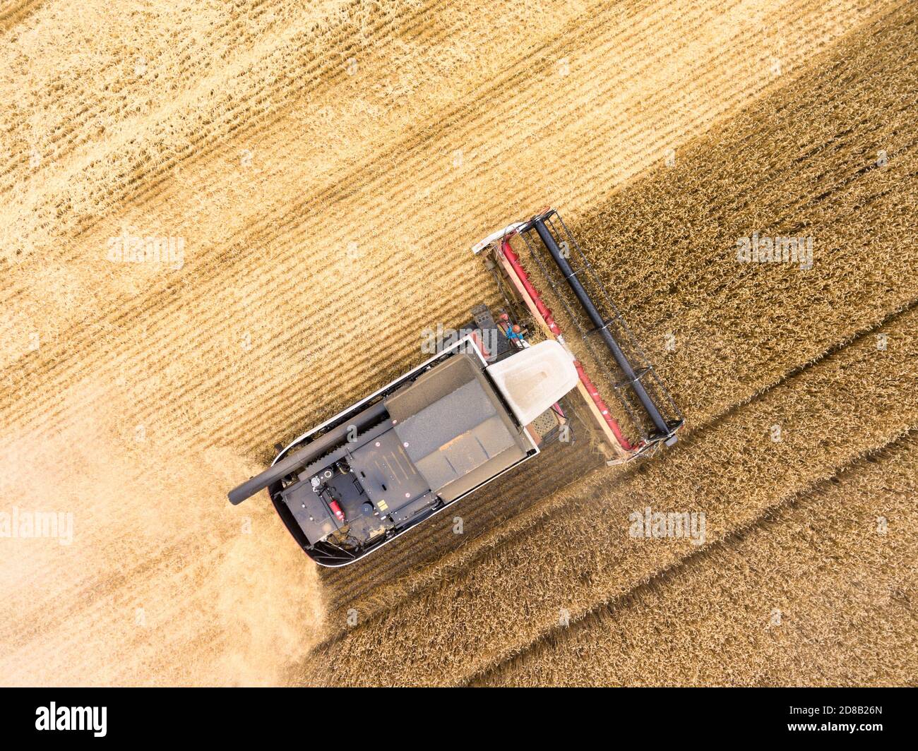 Crop harvesting combine working on agricultural field, top view from ...