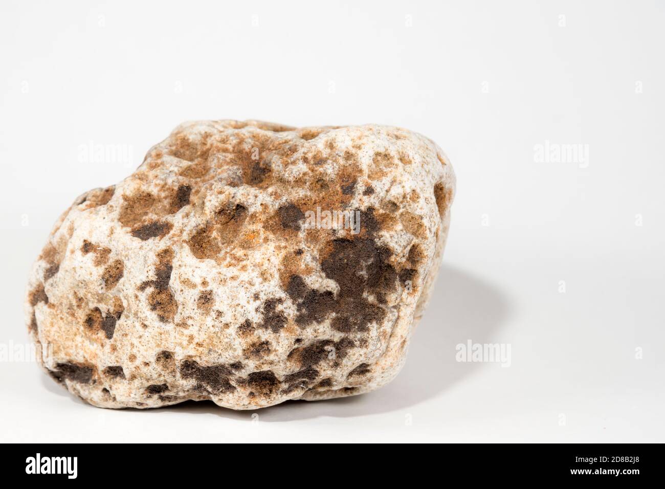 A brown meteorite against a white background. The meteorite is pitted ...