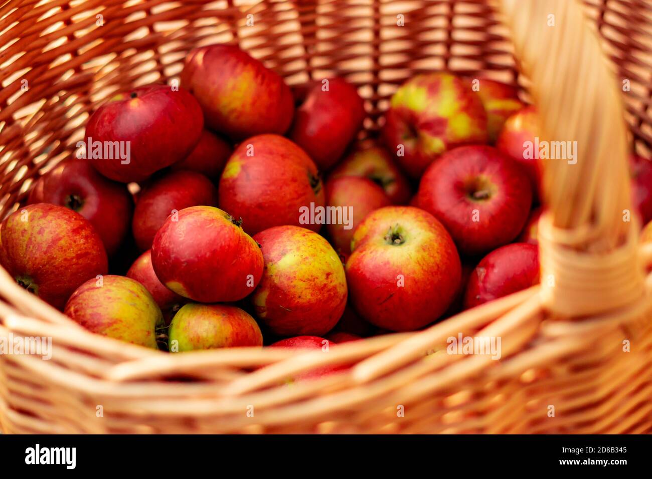 Red apples in a basket hi-res stock photography and images - Alamy