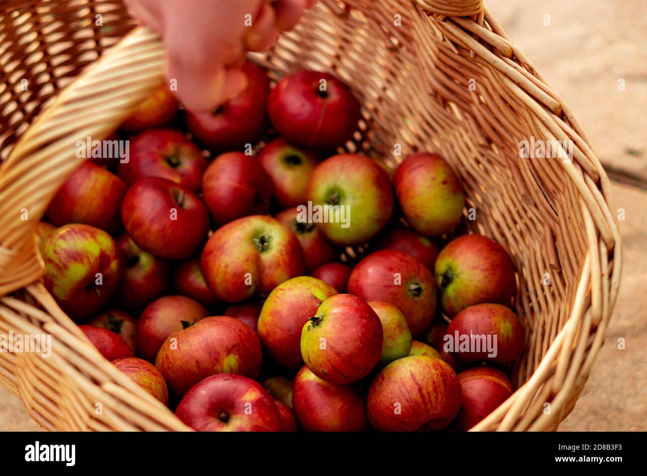 Red apples in a basket hi-res stock photography and images - Alamy