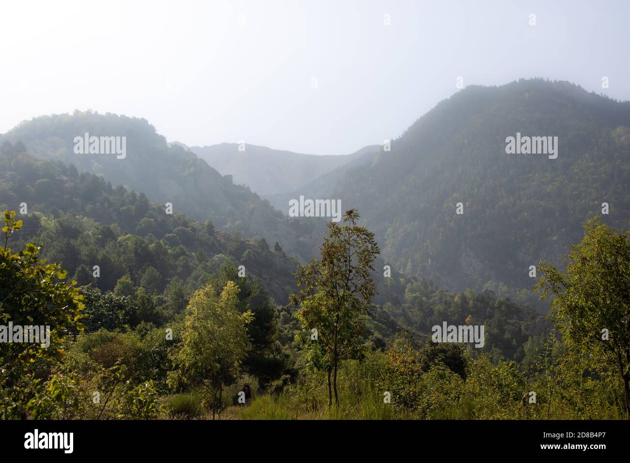 Hiking in the Eastern Pyrenees. The Badabanys towers. Summer 2020 Stock ...