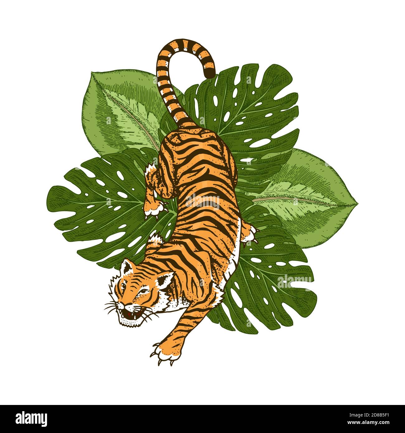 Japanese tigers with tropical leaves. Wild animal with green plants ...
