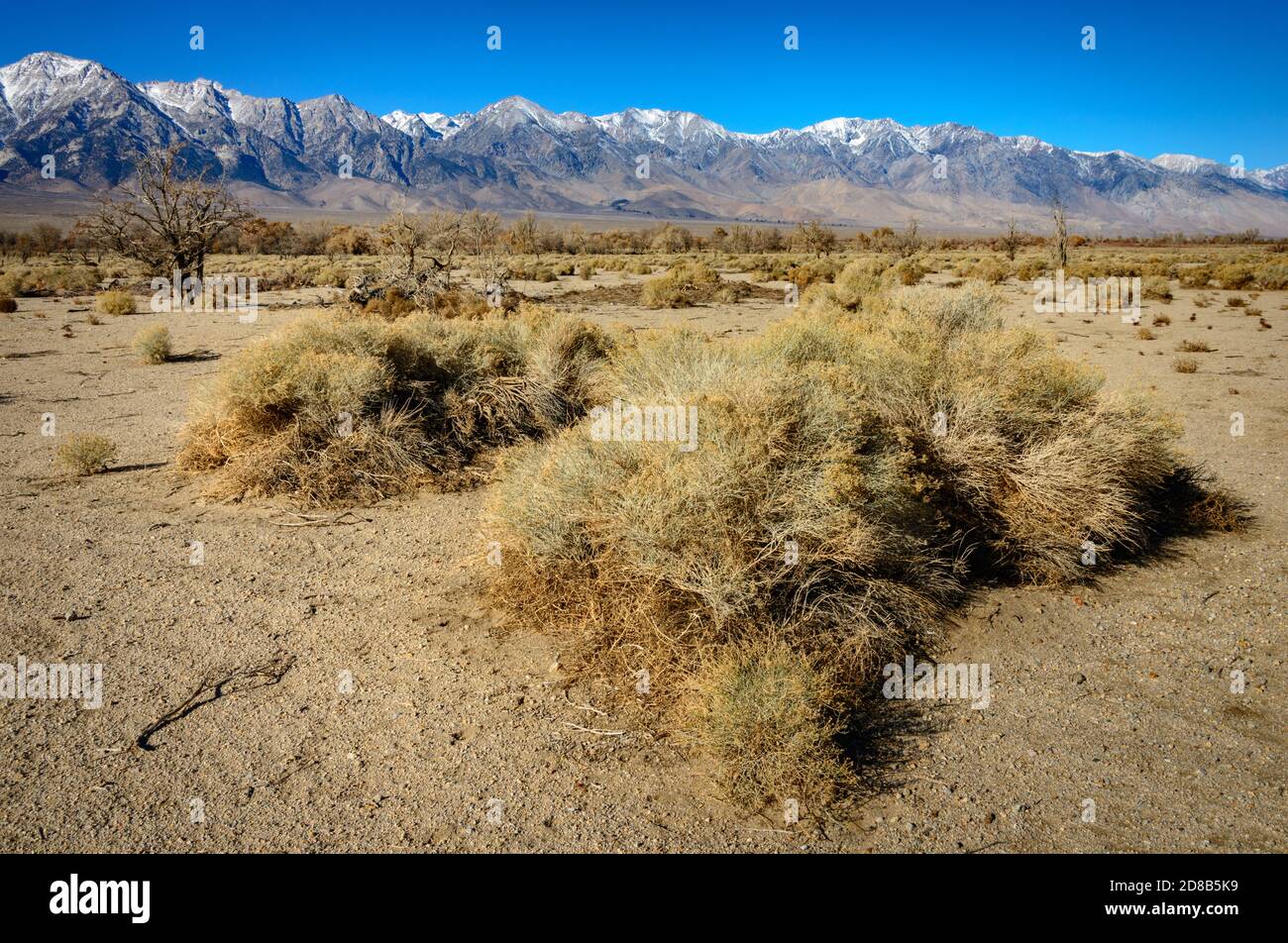 Manzanar National Historic Site Stock Photo - Alamy