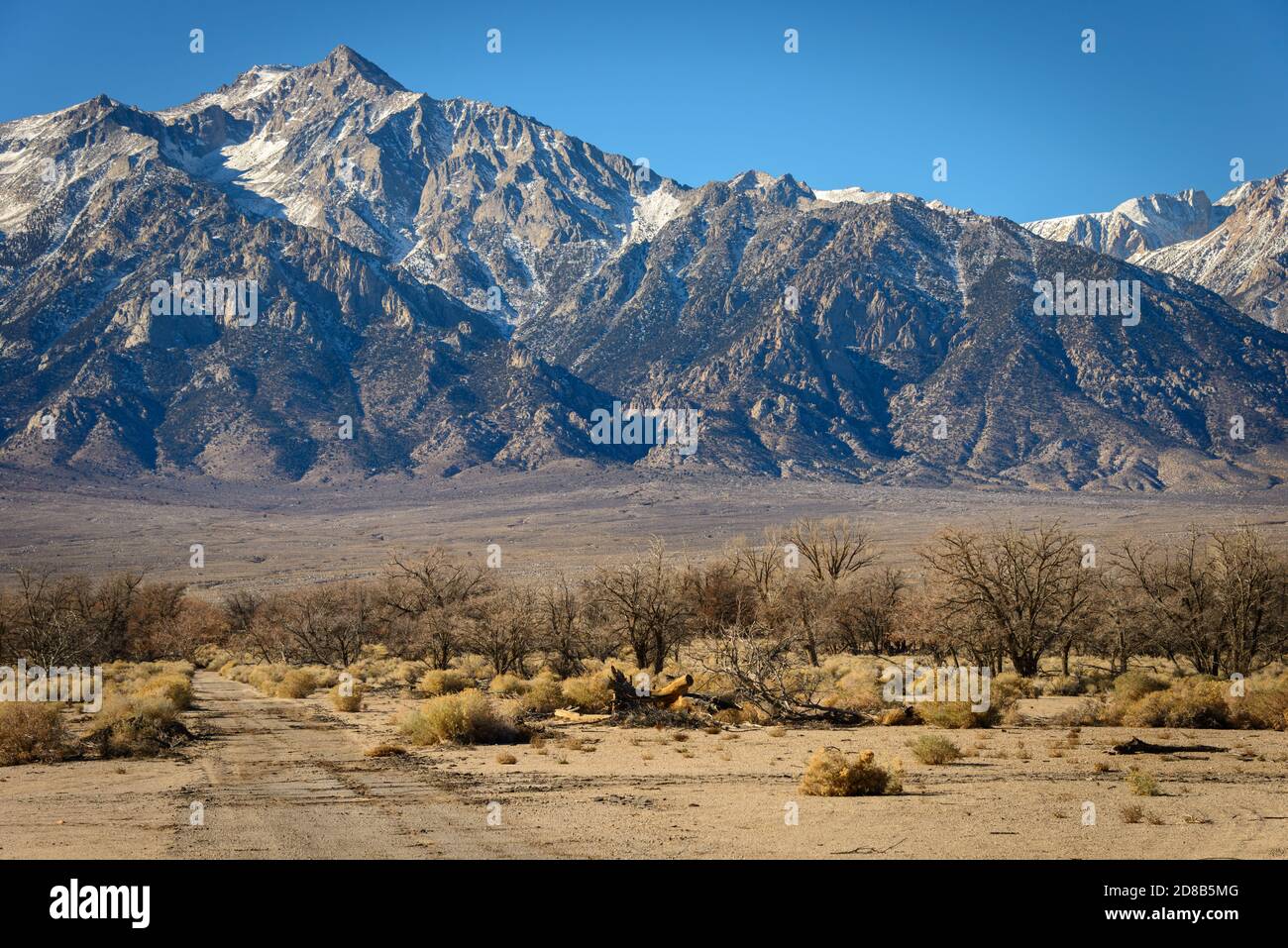 Manzanar National Historic Site Stock Photo - Alamy