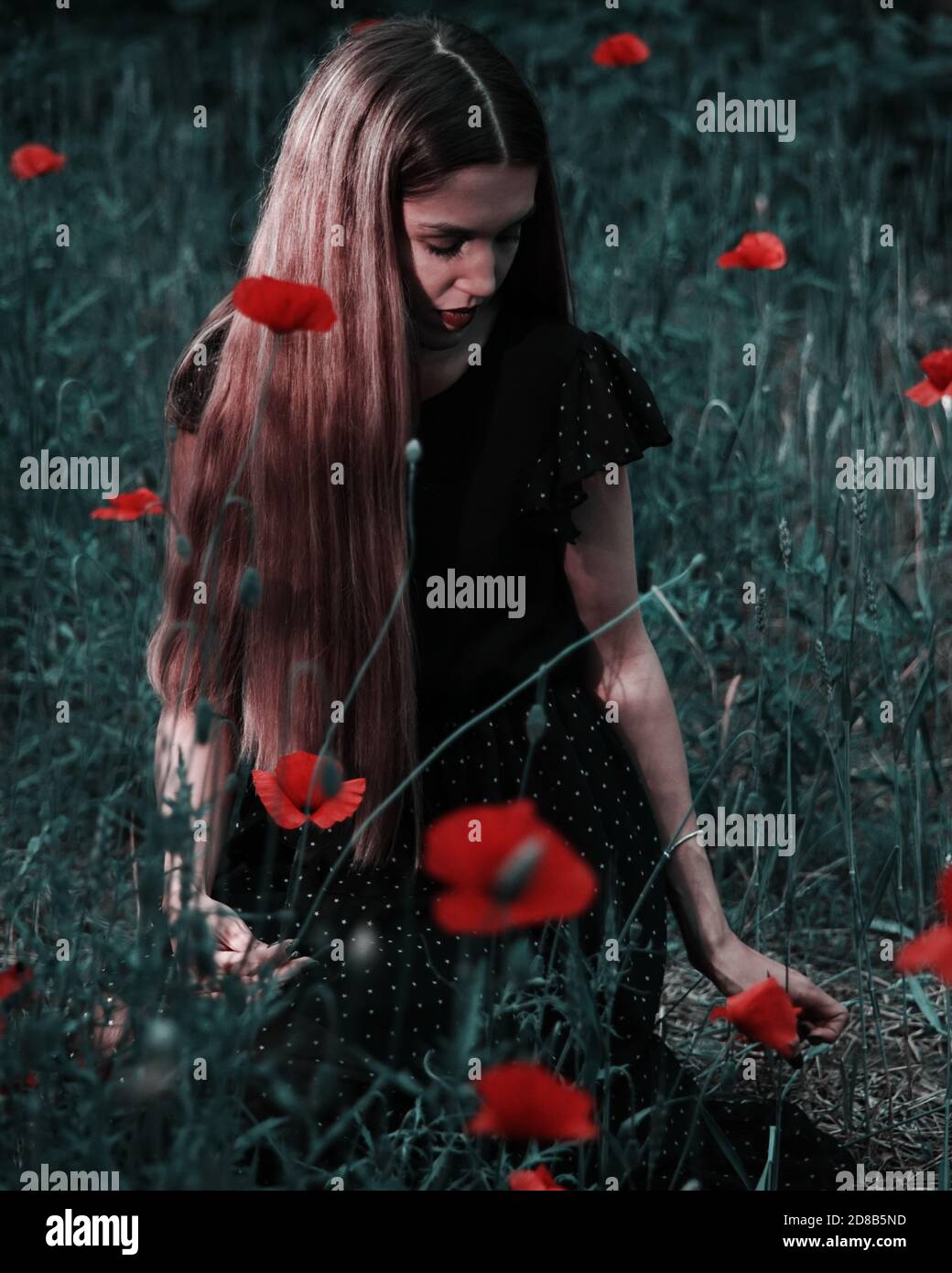 Woman in poppy field hi-res stock photography and images - Alamy
