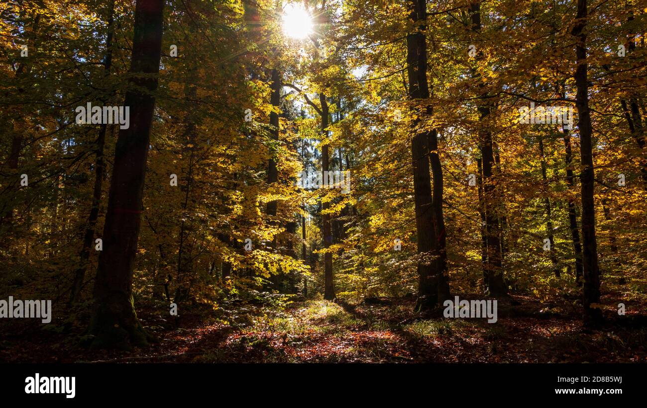 Sun in red color hi-res stock photography and images - Alamy