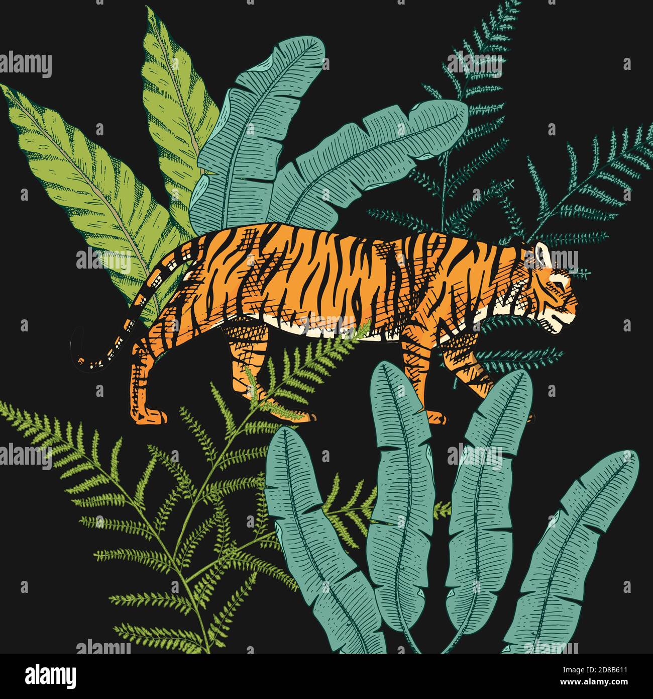 Japanese tigers with tropical leaves. Wild animal with green plants ...