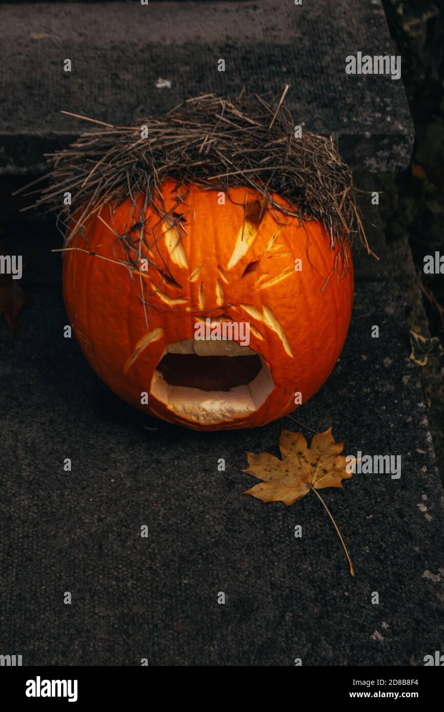 Funny halloween carved pumpkin into face expression, black background ...