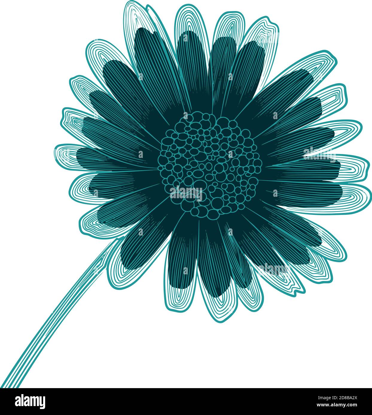 delicate vector linear pattern of daisy flower Stock Vector Image & Art ...