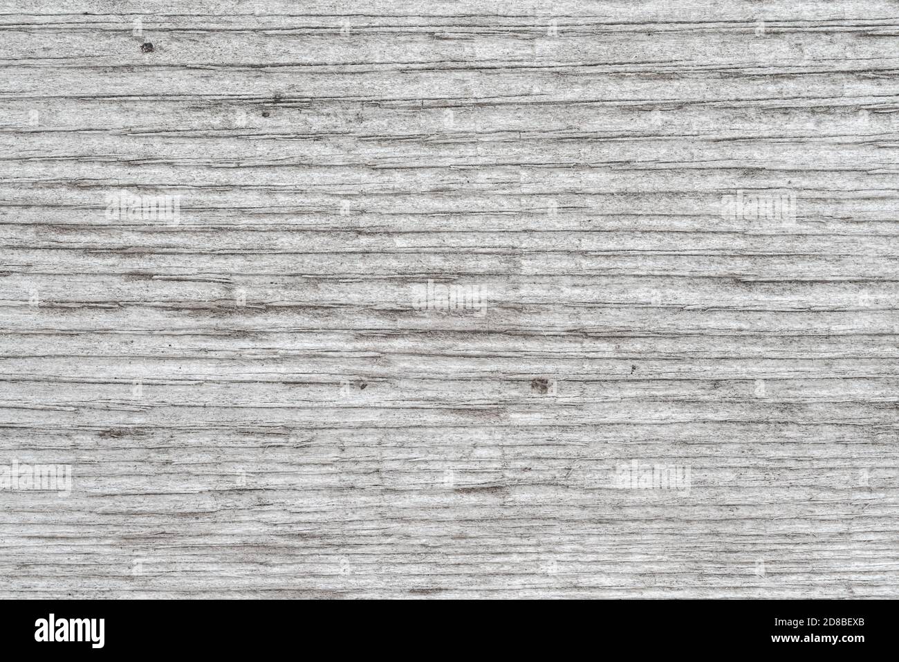 Old gray color wood background. Close-up macro view of natural ancient ...